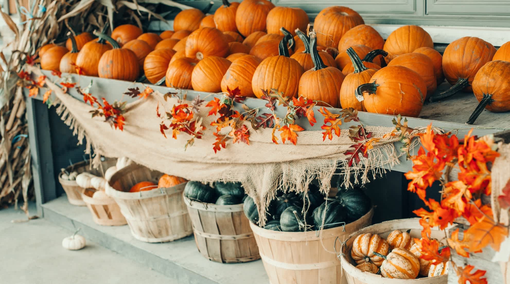 17 Fall Marketing Ideas to Try This Season | VistaPrint US